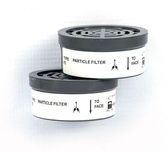 Pioneer Safety 2 Pack P2 Dust Filter — WorkX